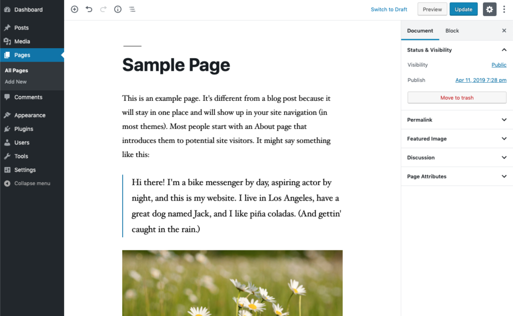 Gutenberg Guide: What You Need to Know - Miller Designworks